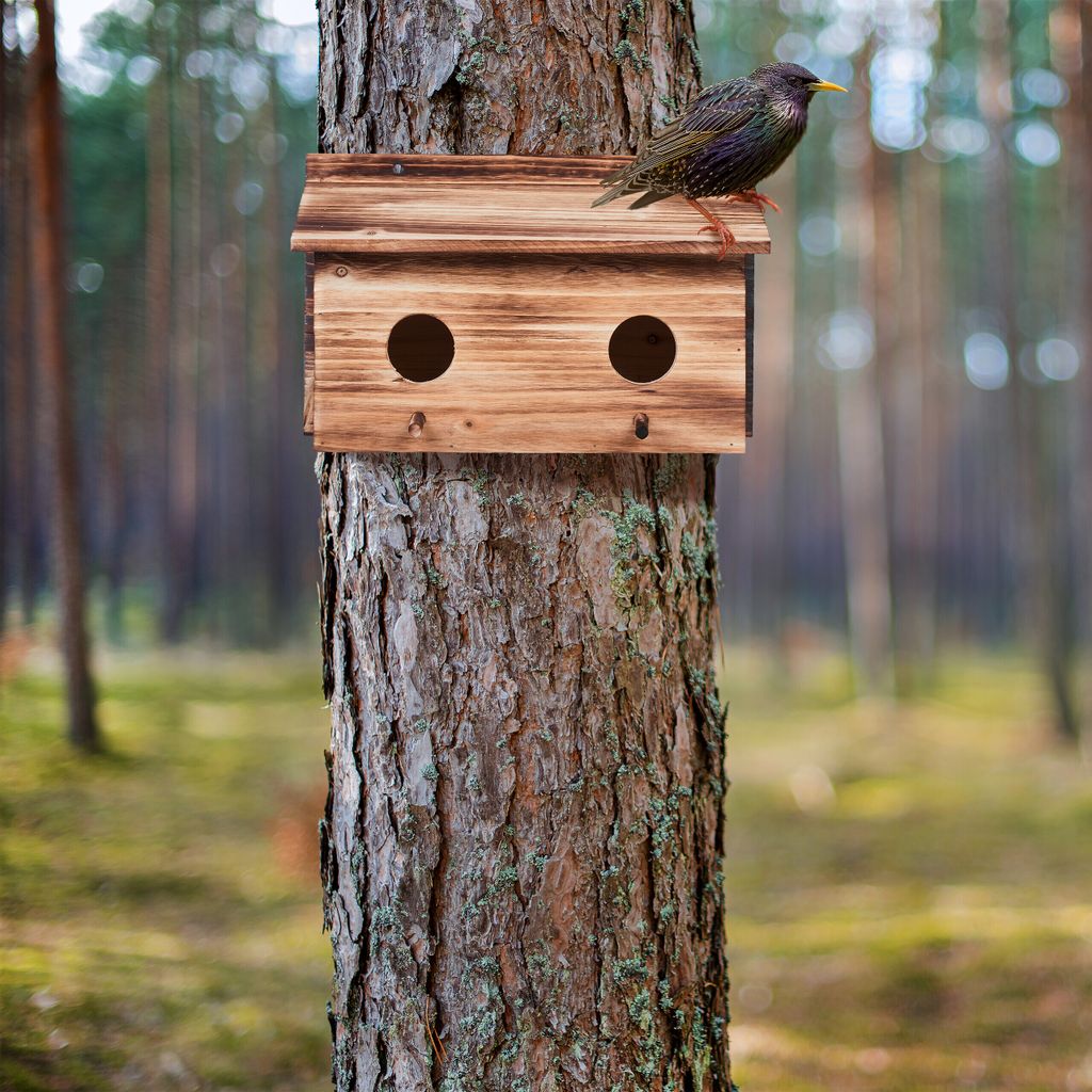 relaxační hnízdní budka pro špačky | Kaufland.cz