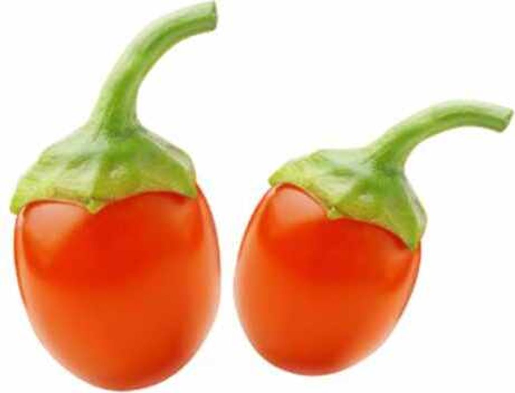 Goji-Beere Lycium barbarum 60-70 cm | Kaufland.de