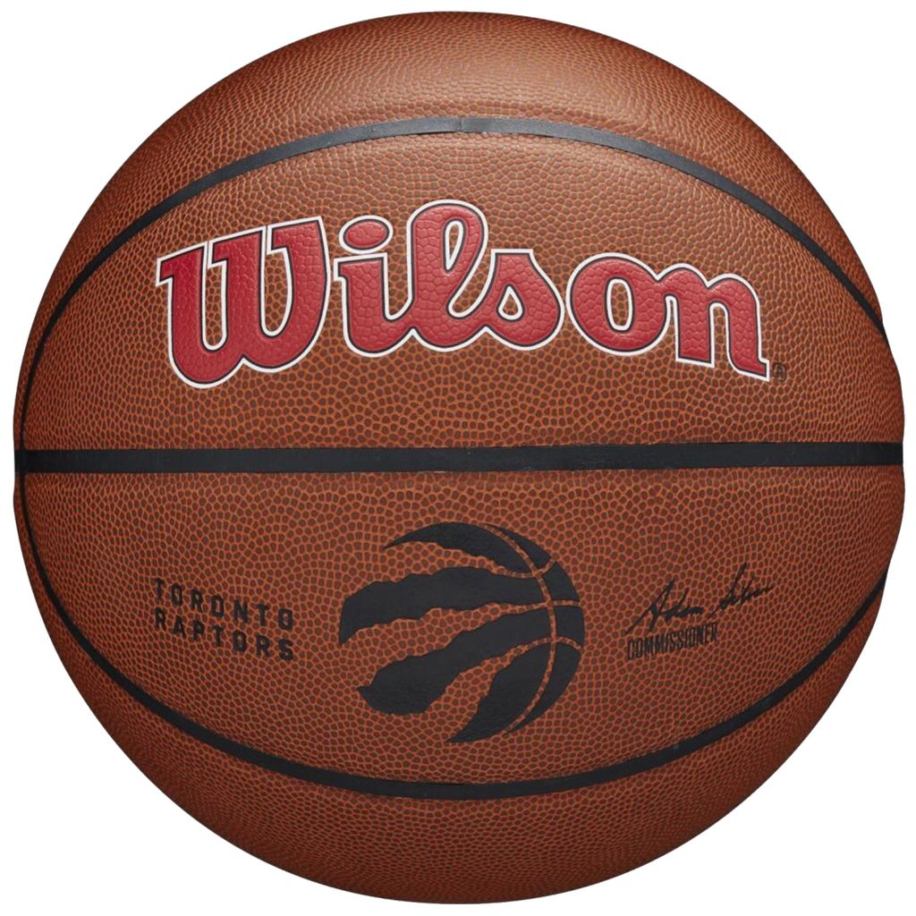 Wilson Team Alliance Toronto Raptors Ball | Kaufland.de