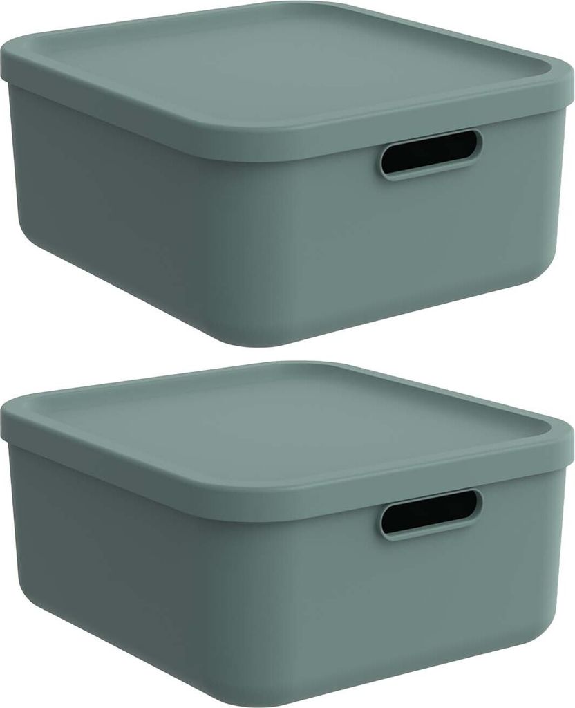 Albula Light 2er-Set Box 20l, Farbe:Mistletoe green