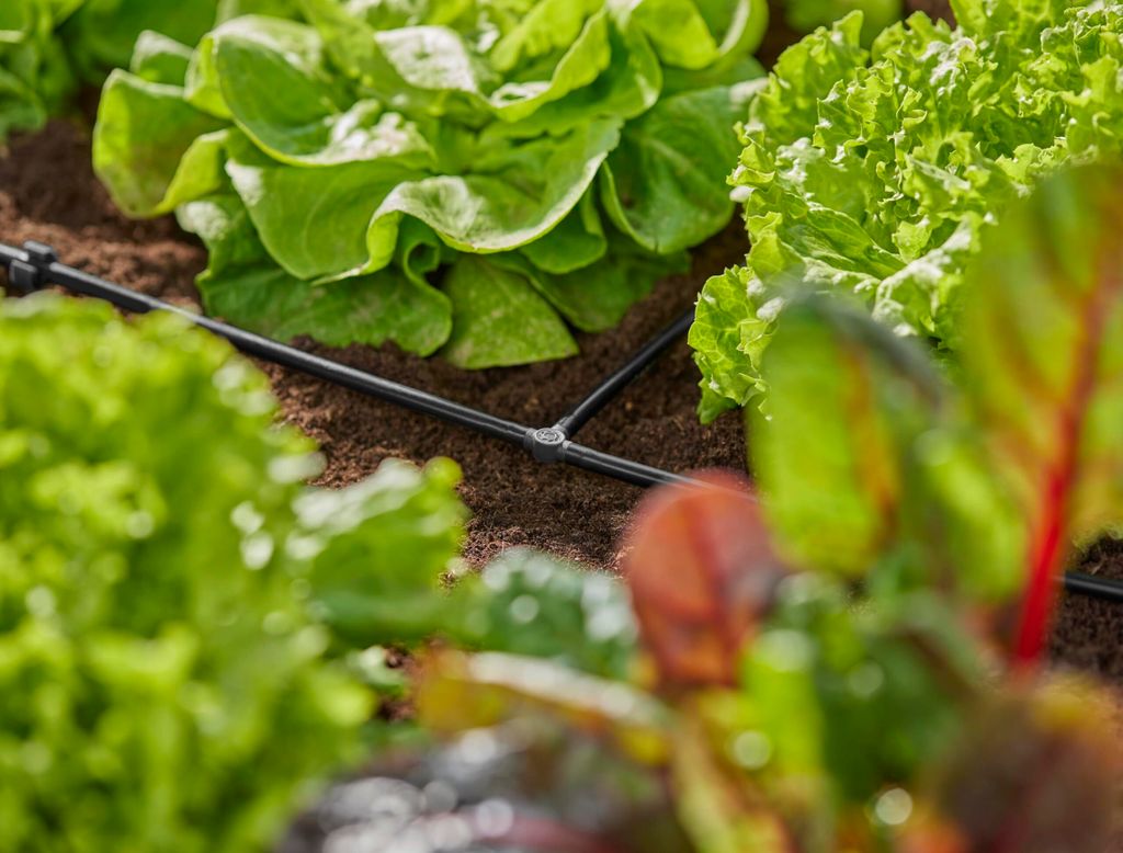 T-kus GARDENA micro-drip 4,6 mm | Kaufland.cz