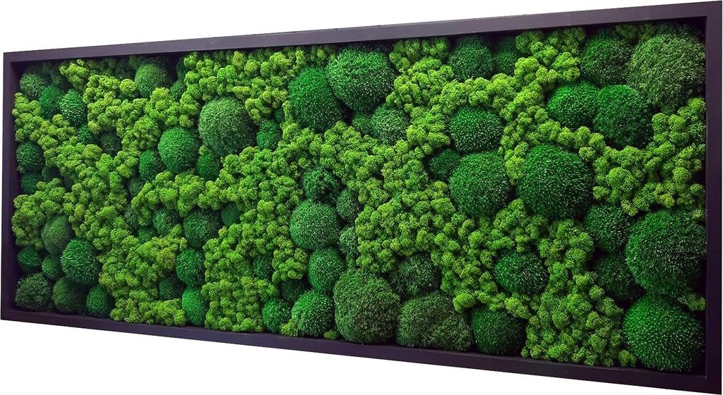 Hello Moss Moosbild - Moos Deko Für Ihr Haus | Kaufland.de