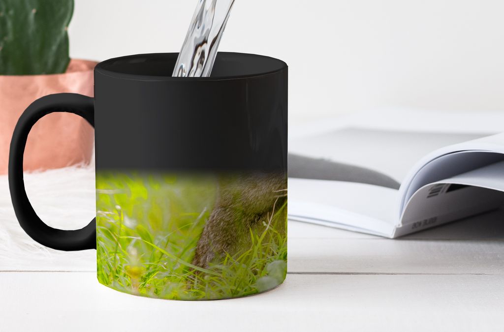 MuchoWow® Kouzelný pohár Králík - Dítě - | Kaufland.cz