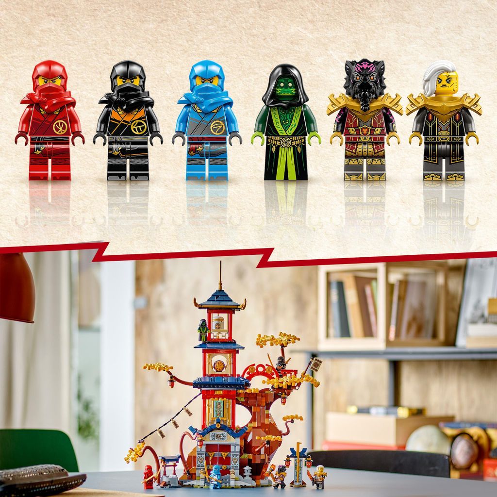 LEGO 71795 NINJAGO Tempel der Drachenpower | Kaufland.de