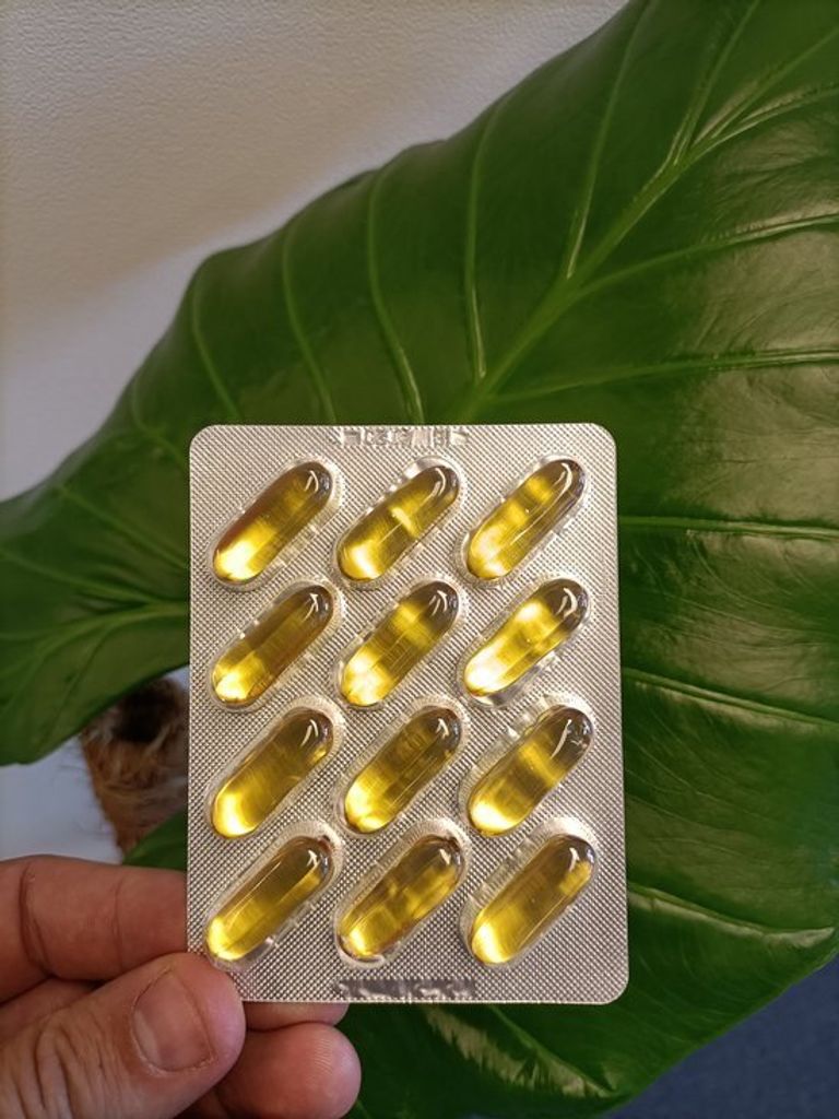 Ferrarium Ferrarium biologisches Mittel gegen | Kaufland.de