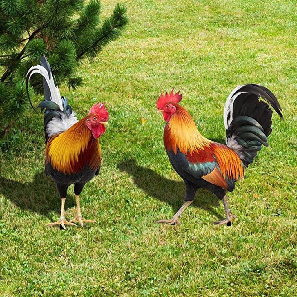 2 Stück Huhn gartendeko, Huhn Gartenstatue, | Kaufland.de