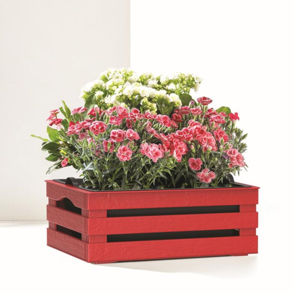 BAMA Bednička TINA Flower 2 SL, farba červená | Kaufland.sk