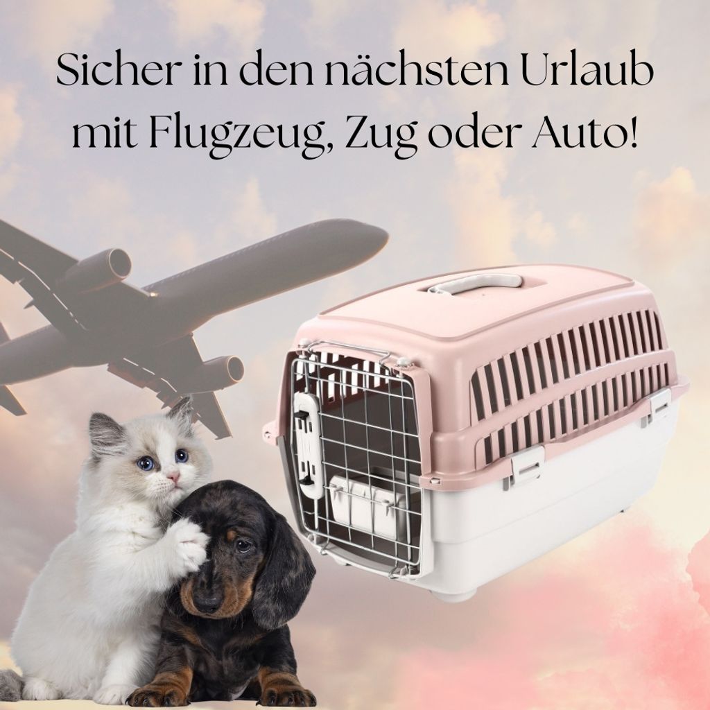 Transportbox IATA Flugbox Flugzeug Transport | Kaufland.de