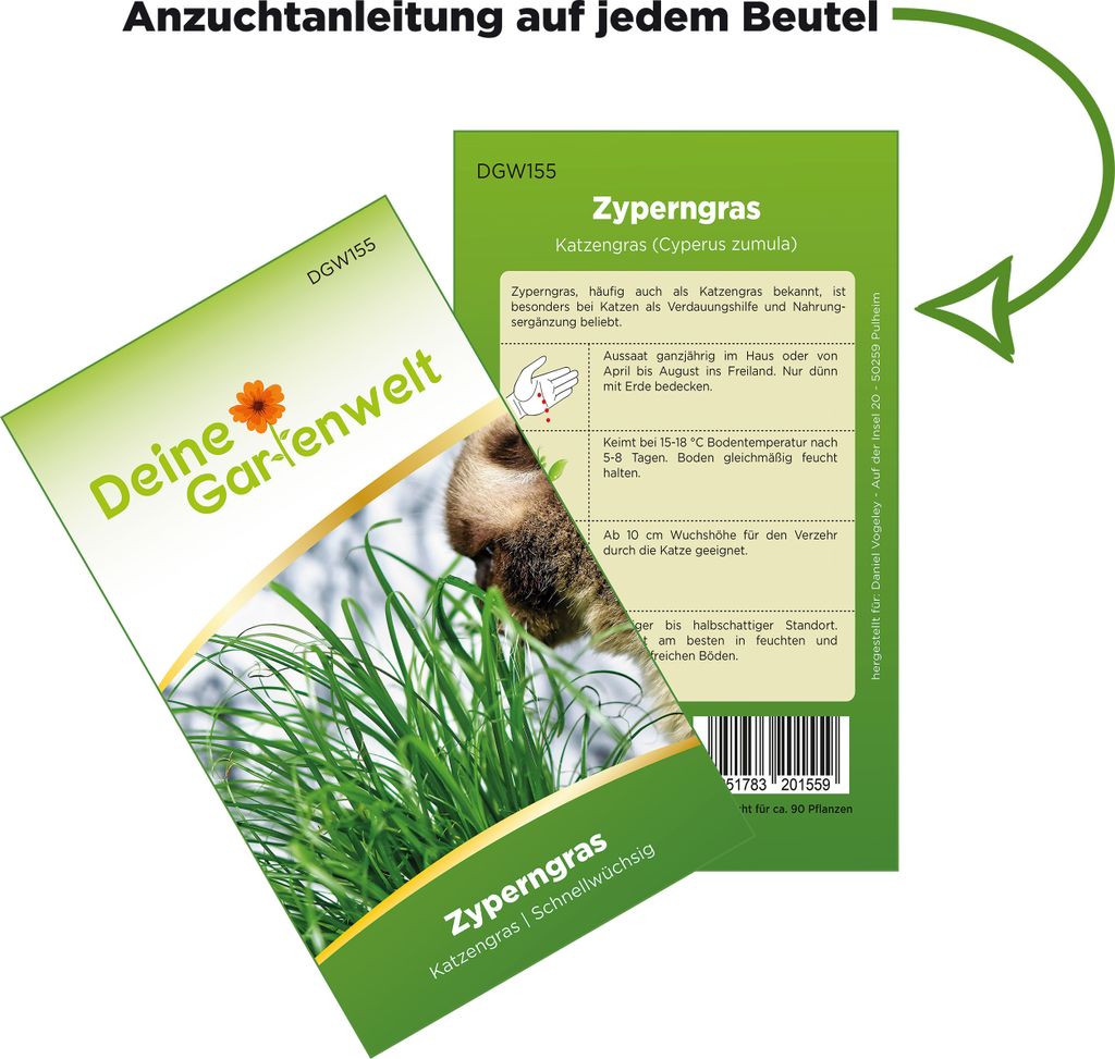 Zyperngras Katzengras Samen - Cyperus zumula | Kaufland.de