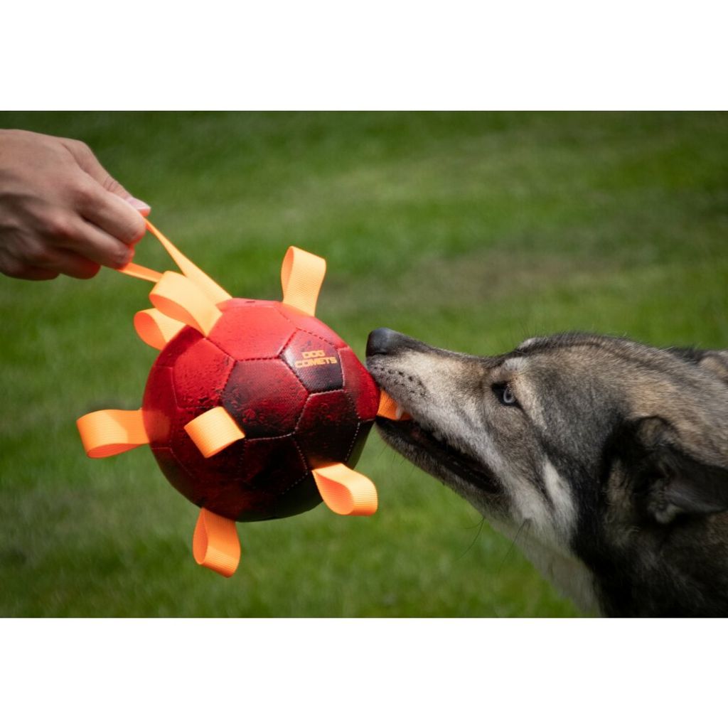 Dog Comets Ball Hypernova / (Variante) | Kaufland.de