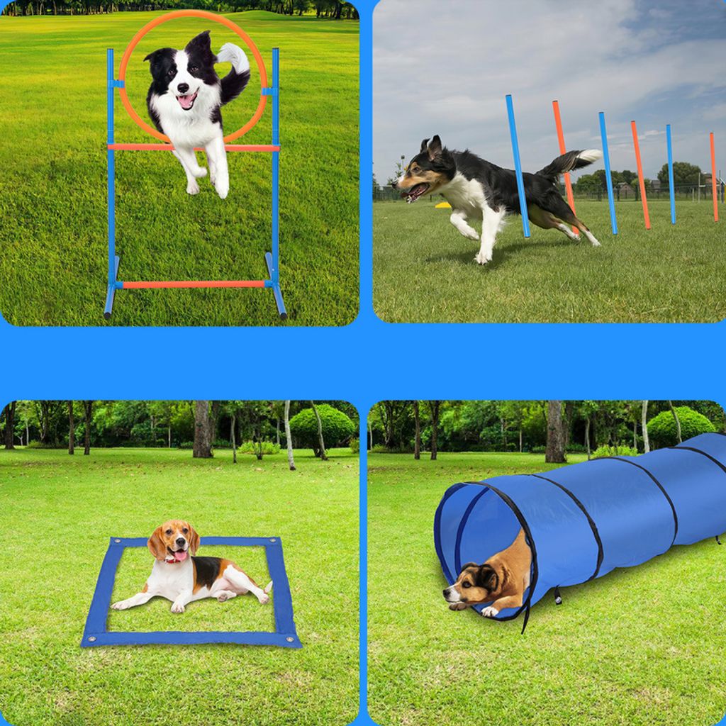 Jopassy agility set pro psy agility vybavení | Kaufland.cz