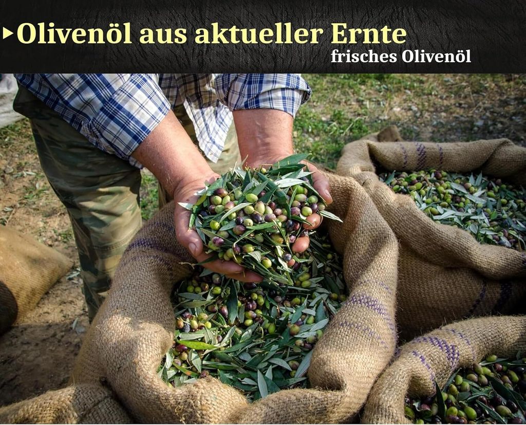 Oleus griechisches Olivenöl extra nativ | Kaufland.de