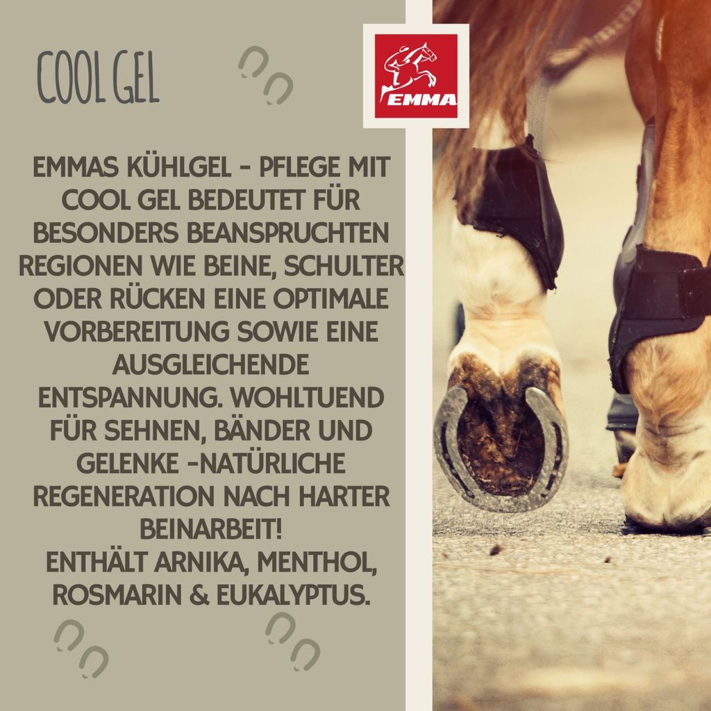 EMMA Cool Gel - Pferdebalsam kühlend 500ml | Kaufland.de