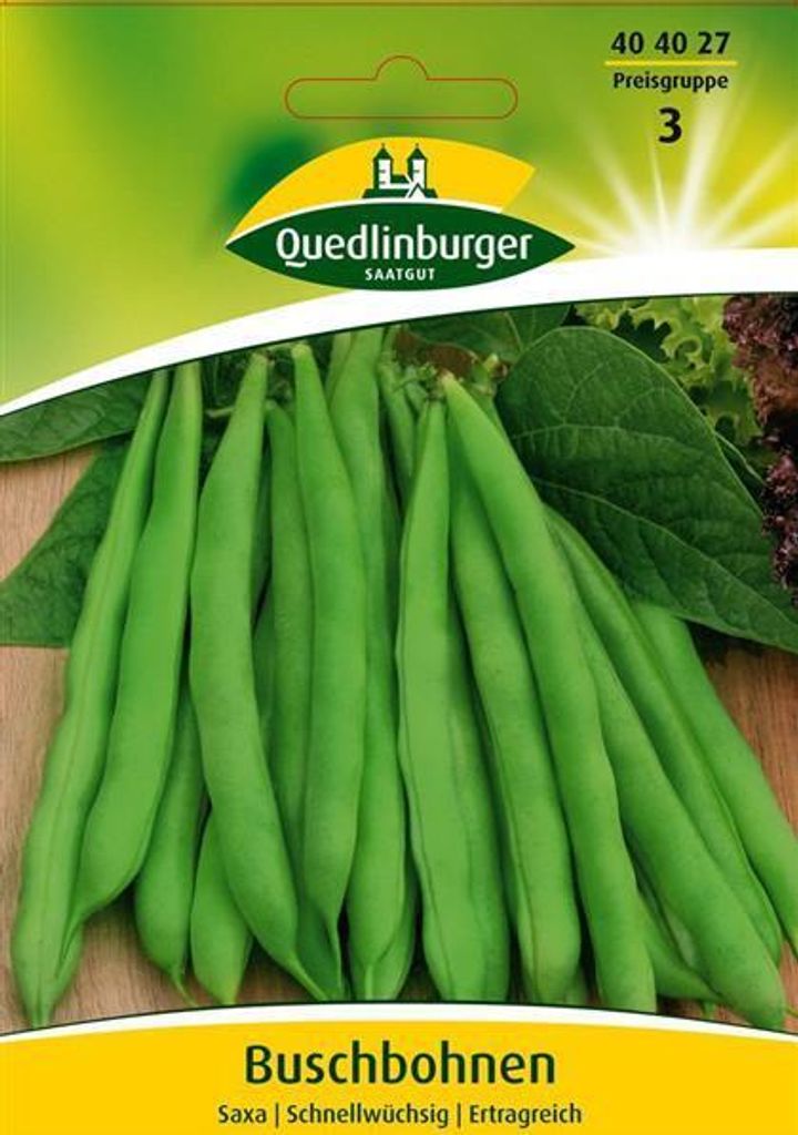 Buschbohne Saxa | Buschbohnensamen von | Kaufland.de