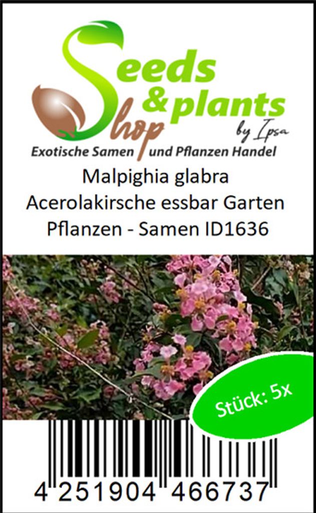 5x Malpighia glabra Acerolakirsche essbar | Kaufland.de