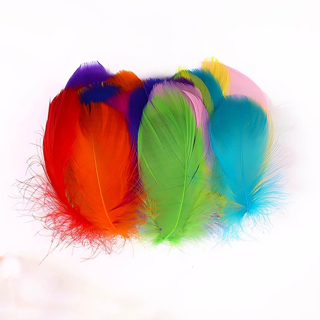 Federn Gänsefedern, ca. 7-12 cm, 5 Gramm, Mix | Kaufland.de