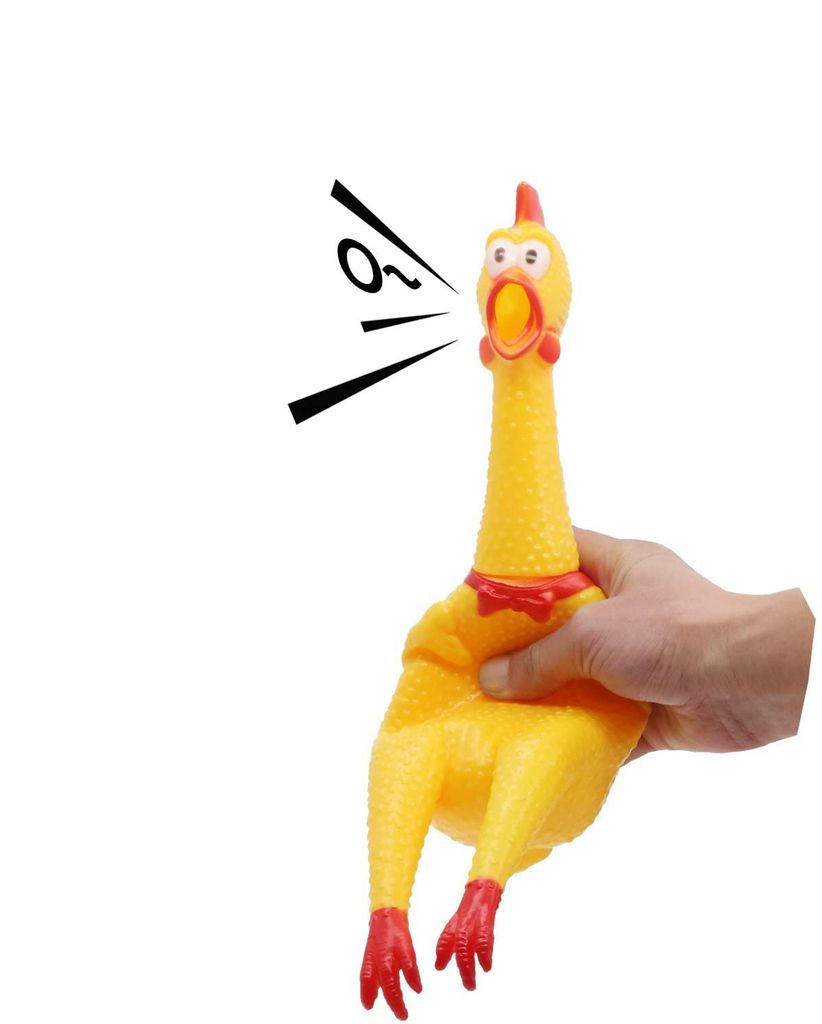 Neuheit Platz Squawking Chicken | Kaufland.de