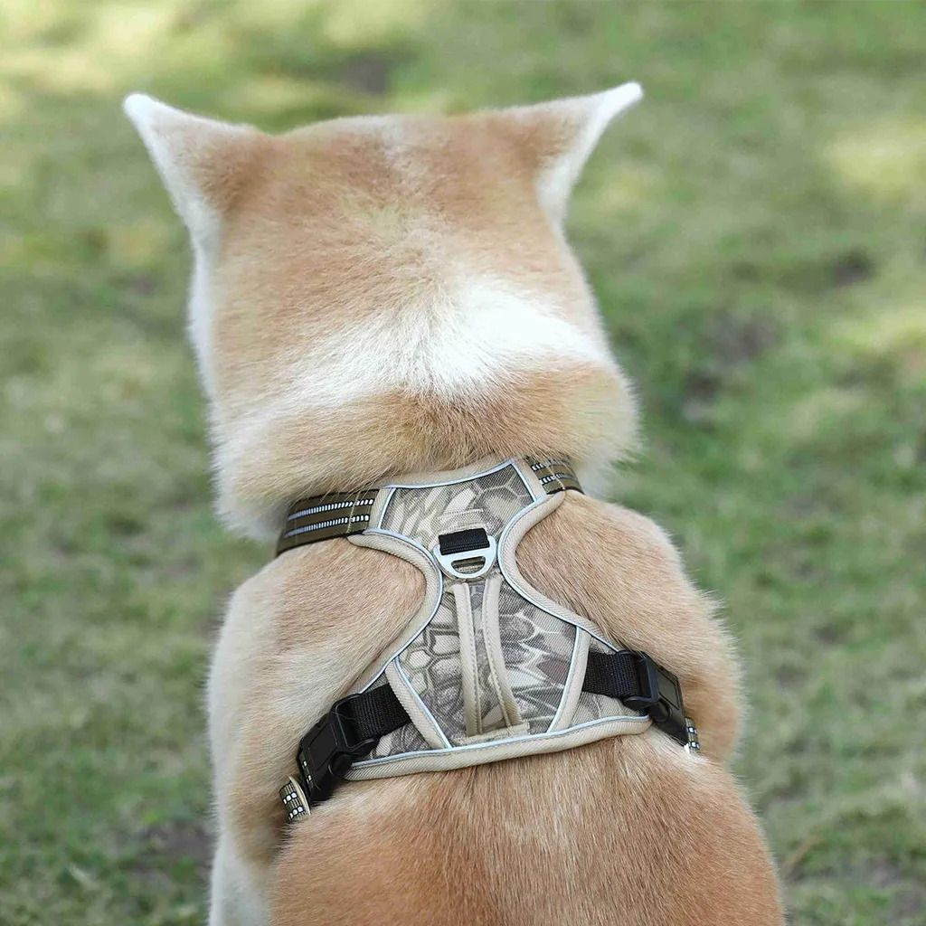 Priedušný postroj pre veľké psy, postroj | Kaufland.sk