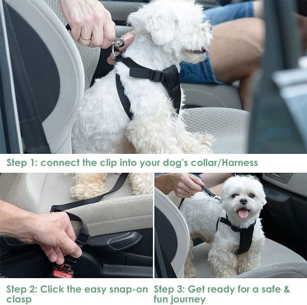 Sicherer Hundegurt: Verstellbarer | Kaufland.de