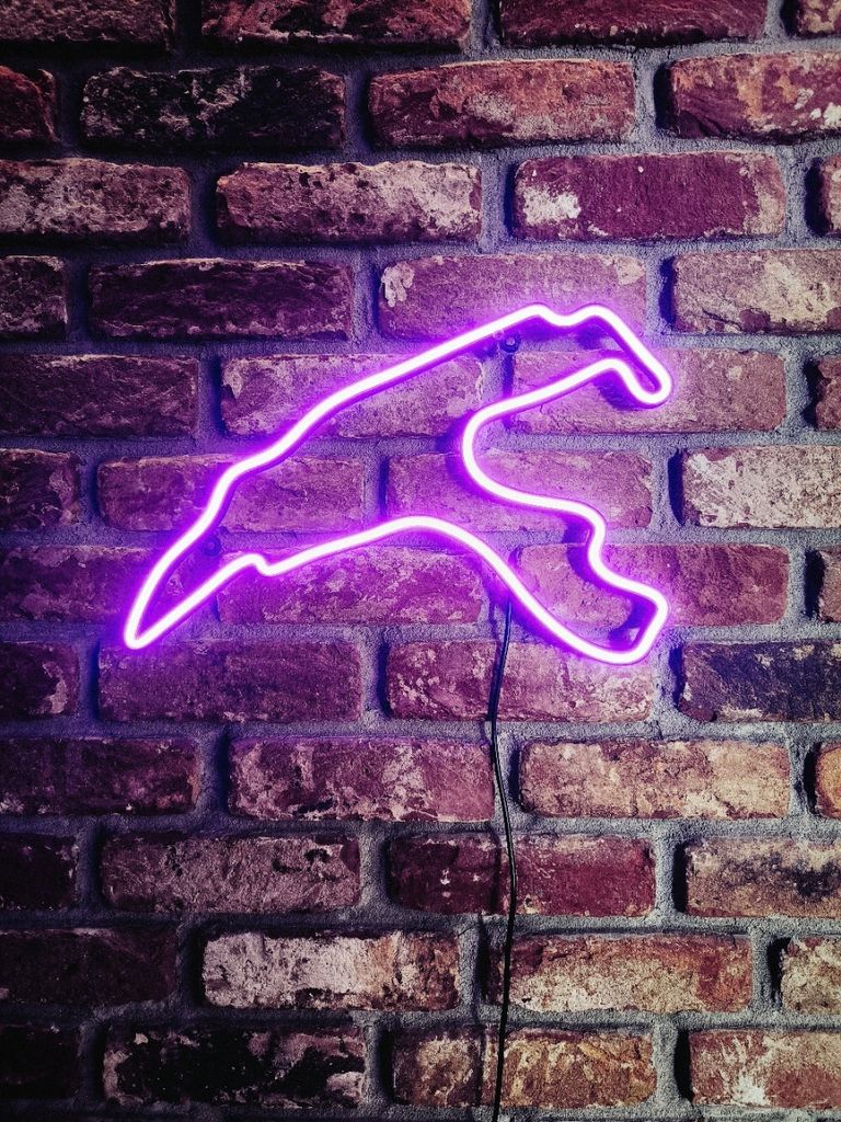 NeonLed SPA 40cm Formule 1, dárek k F1, | Kaufland.cz