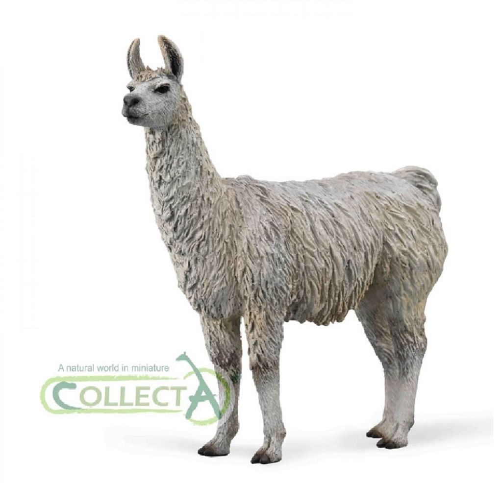 Collecta 88991 Lama 8 cm Wildtiere Tierfigur | Kaufland.de
