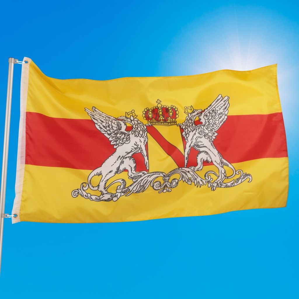 PHENO FLAGS Baden Flagge 90 x 150 cm | Kaufland.de
