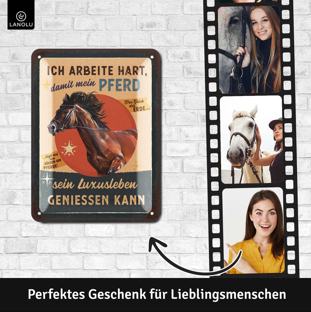 Retro Blechschild Pferde Schild, Geschenke | Kaufland.de