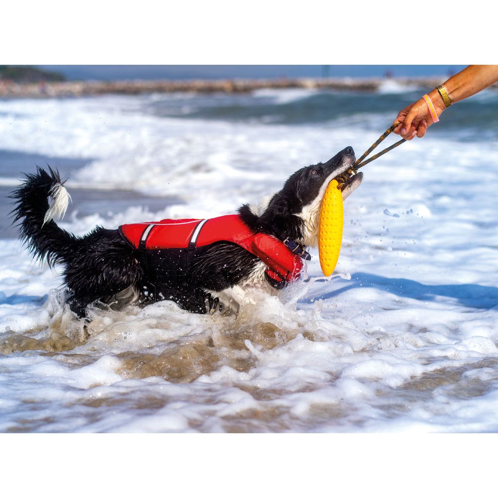 Kiwi Walker Dog Hračka Mini Zeppelin Oranžová | Kaufland.sk