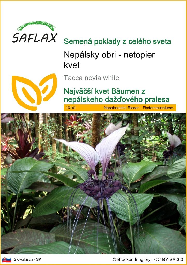 SAFLAX - Nepálsky obri - netopier kvet - | Kaufland.sk