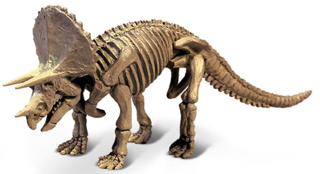 Geoworld Jurassix Museum Mini-Dino-Skelett 1 | Kaufland.de