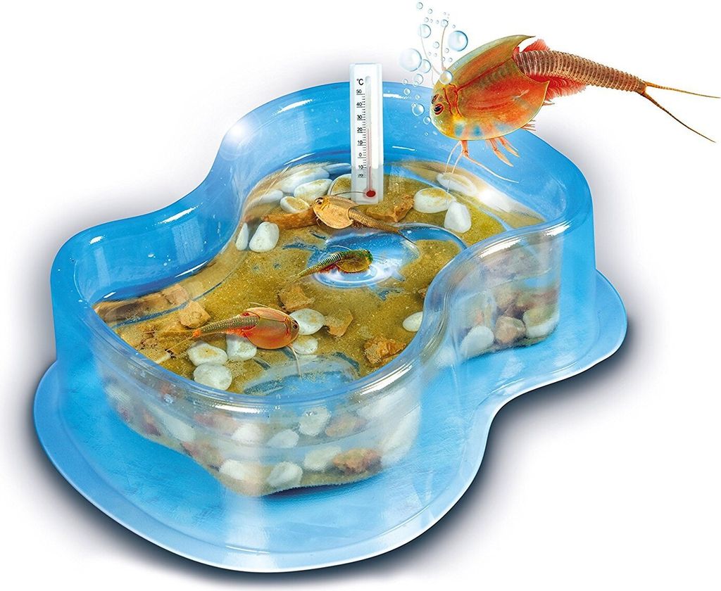 Clementoni Discovery Triops 7+ | Kaufland.cz
