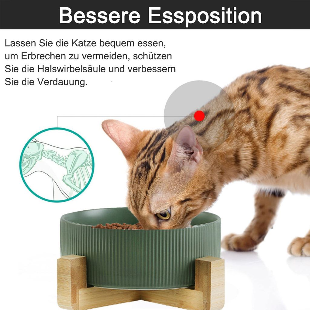 Keramik Hundenapf Futternapf Fressnapf Napf | Kaufland.de
