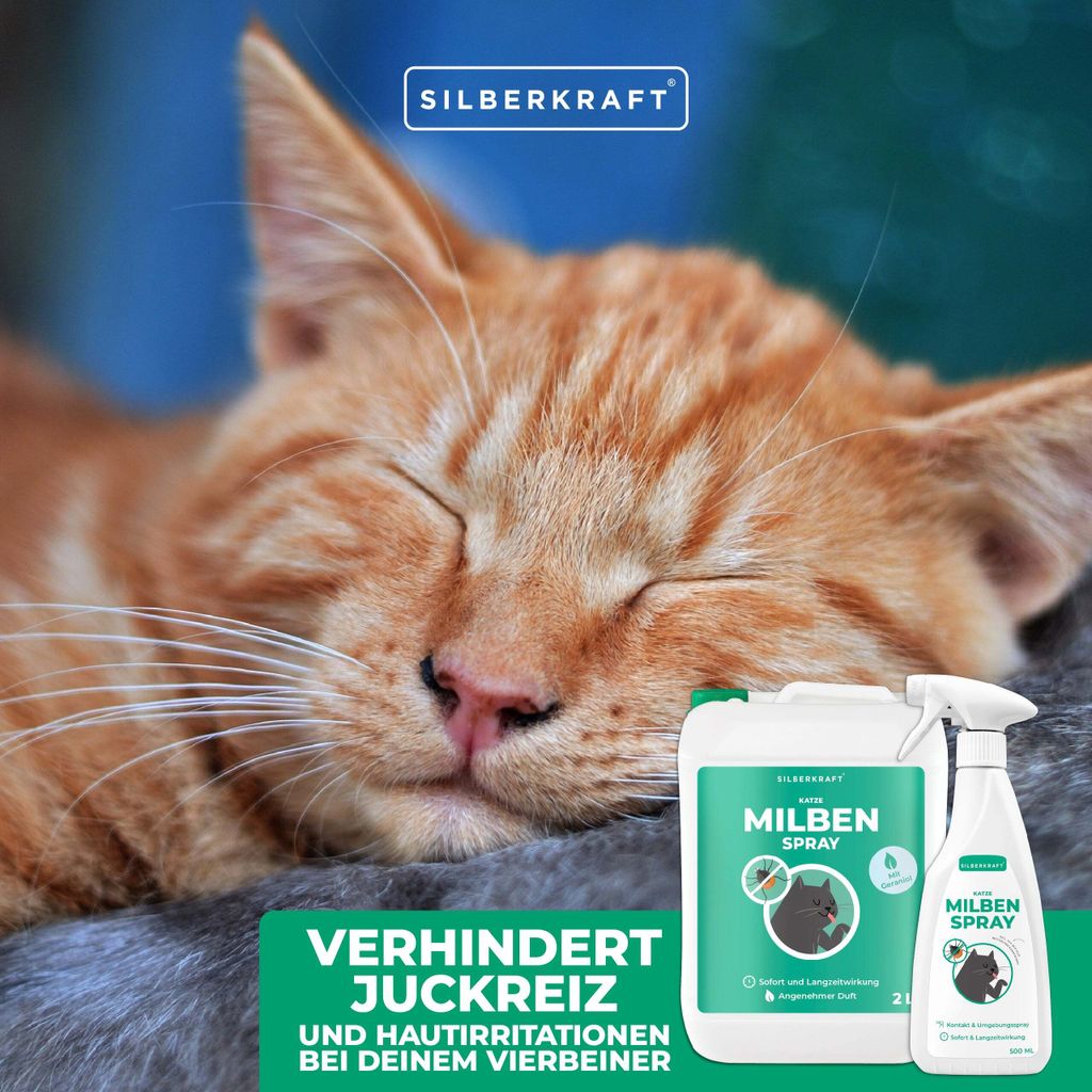 Milbenspray F r Katzen 2 L 500 Ml Kaufland de milbenspray-f-r-katzen-2-l-500-ml-kaufland-de