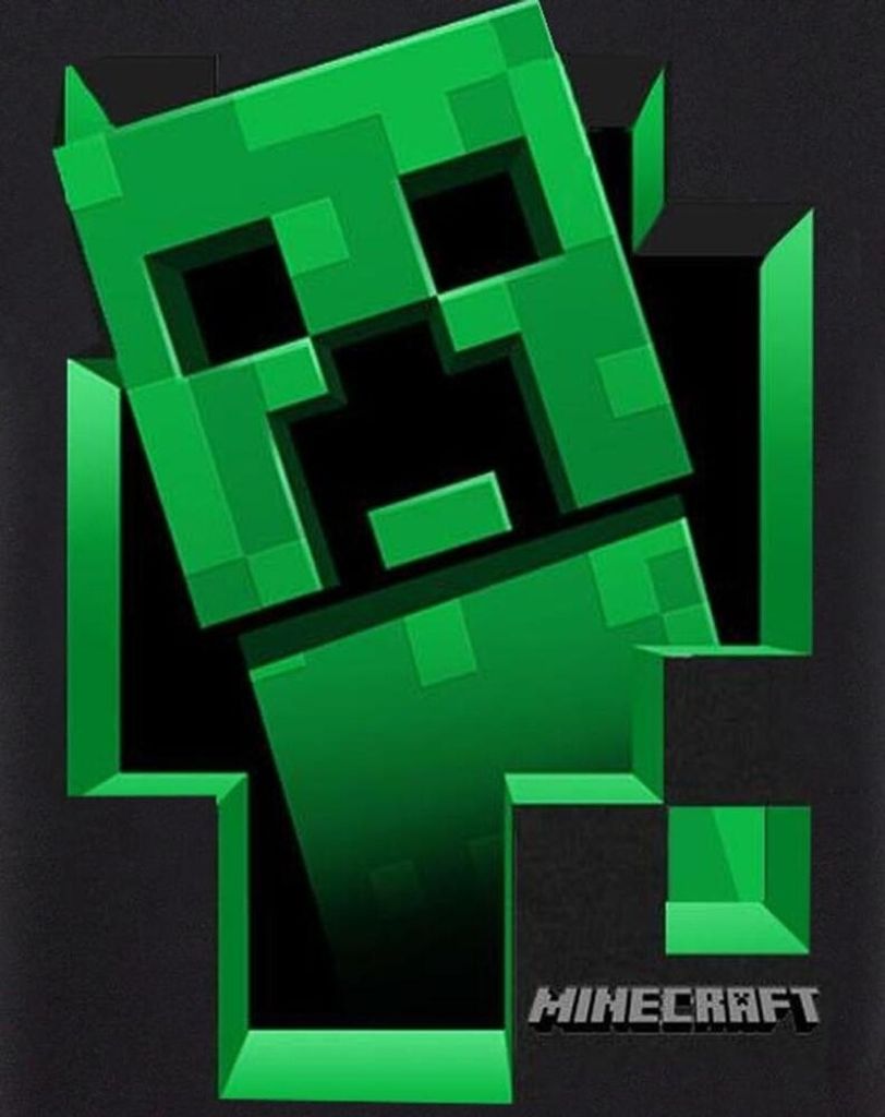 Minecraft - "Inside" tričko pro chlapce | Kaufland.cz