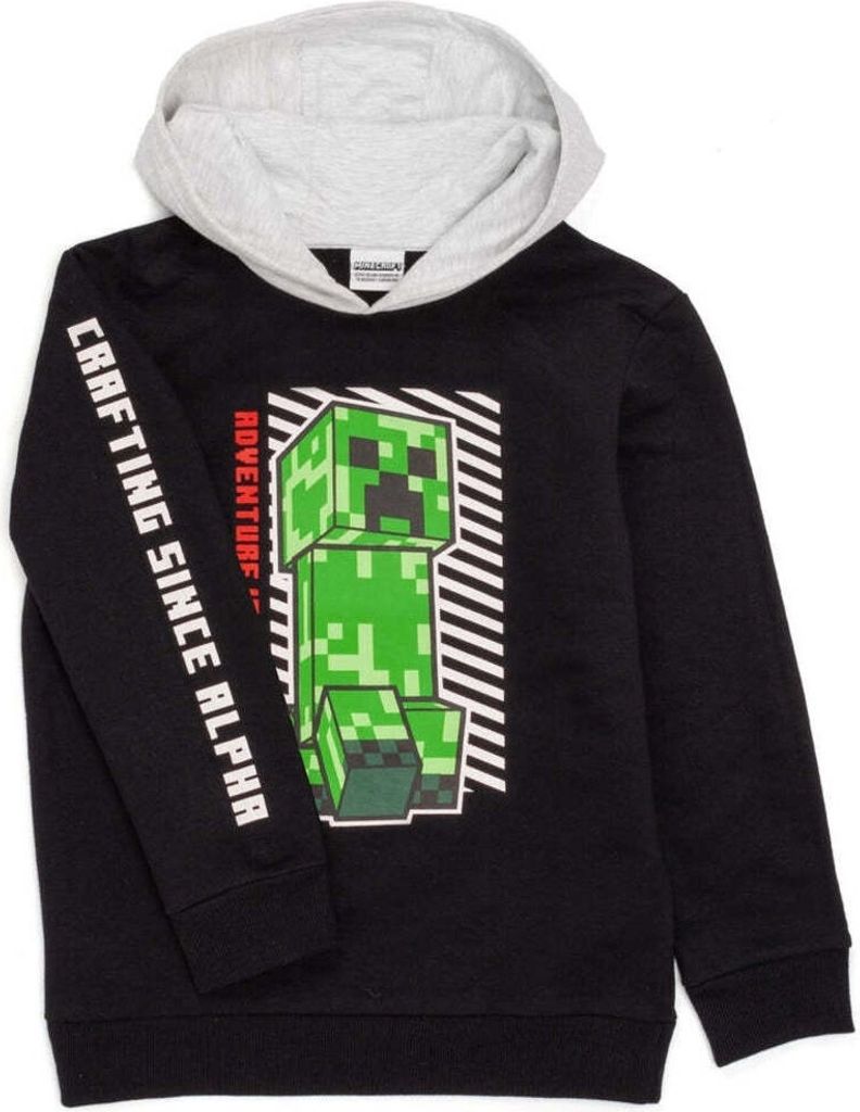 Minecraft - Mikina s kapucí pro chlapce | Kaufland.cz