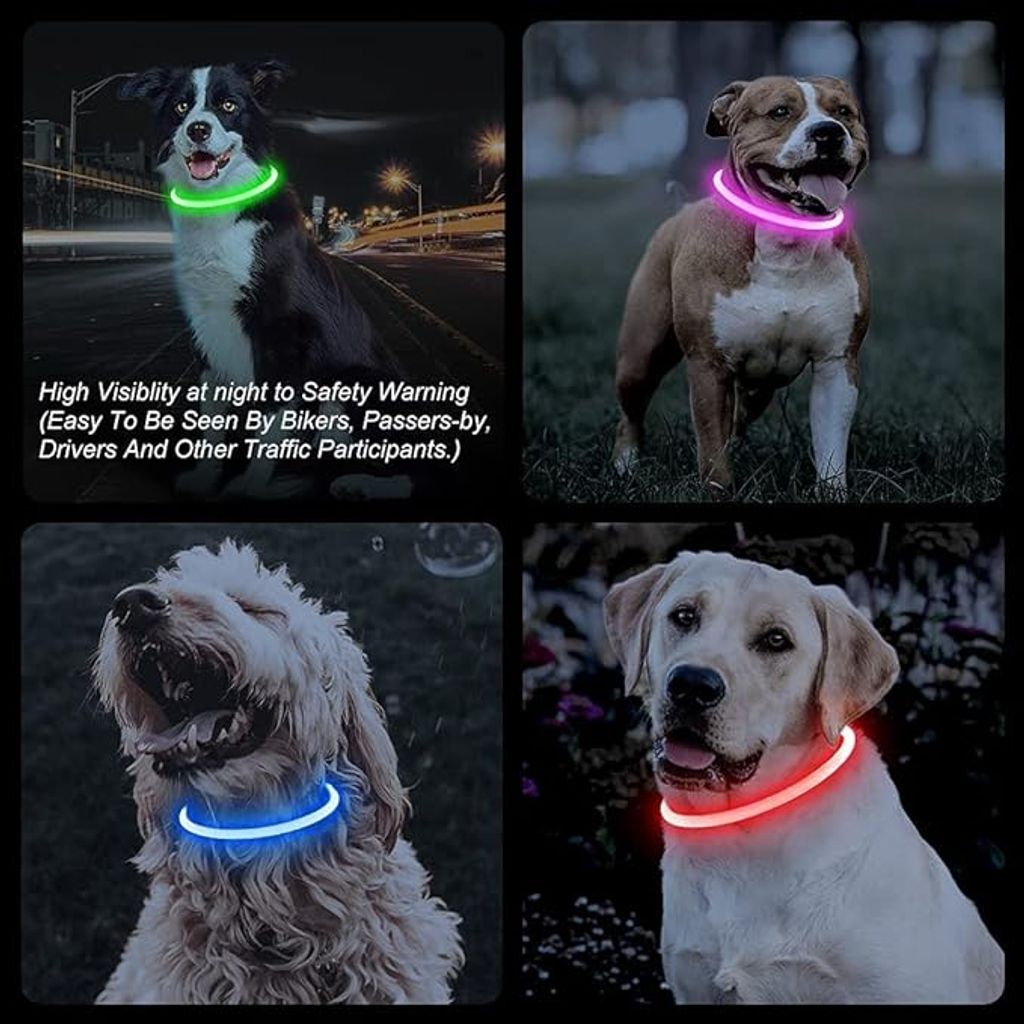 FNCF Leuchthalsband Hund, Hundehalsband | Kaufland.de