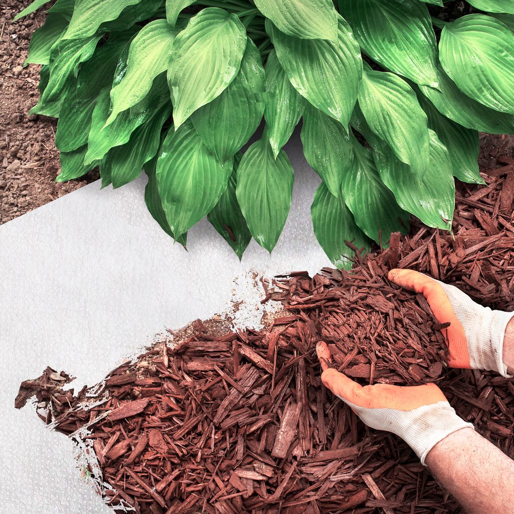 Weed Fleece Ground Control propustný pro vodu | Kaufland.cz