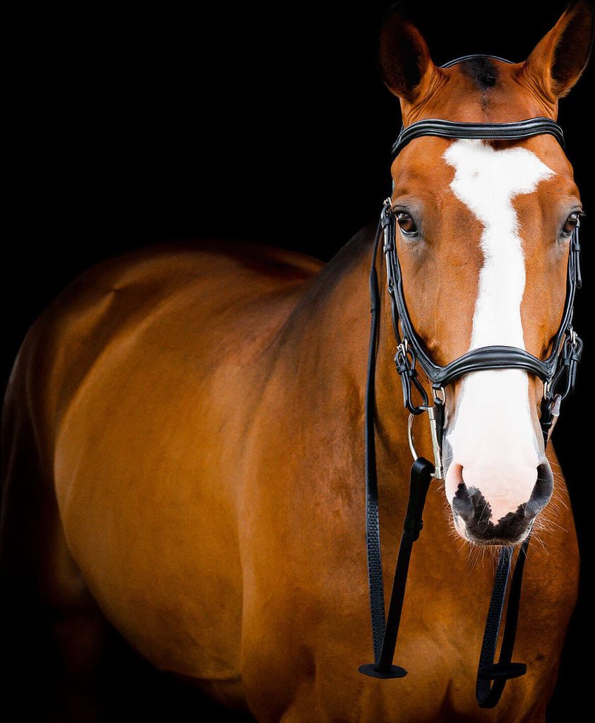 Horseware Ireland Trense Micklem 2 Deluxe | Kaufland.sk