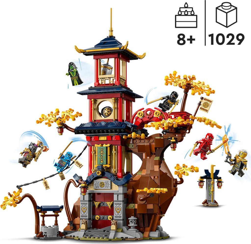 LEGO 71795 NINJAGO Tempel der Drachenpower | Kaufland.de