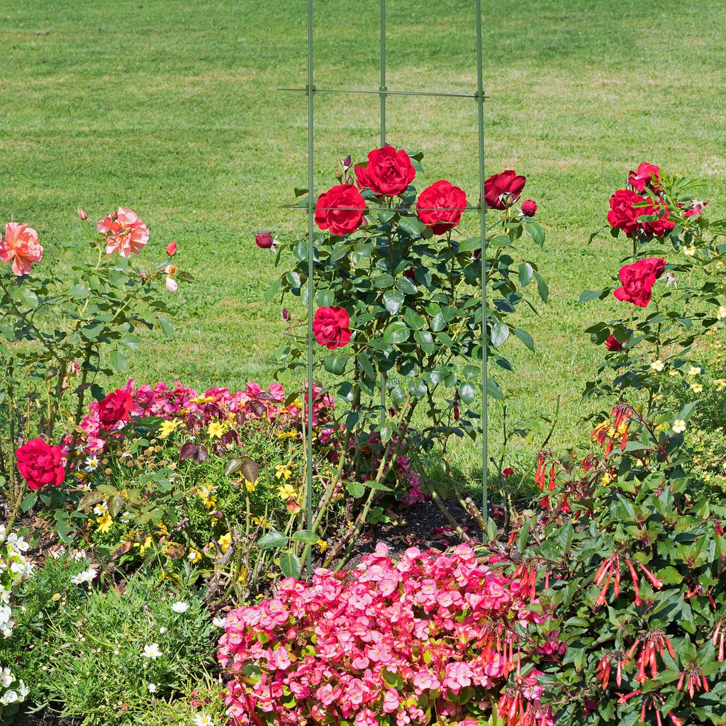 relaxačné lezecké podpery sada 2 91 cm | Kaufland.sk