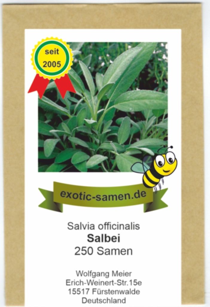 Salbei, echter Salbei - Bienenweide - Salvia | Kaufland.de