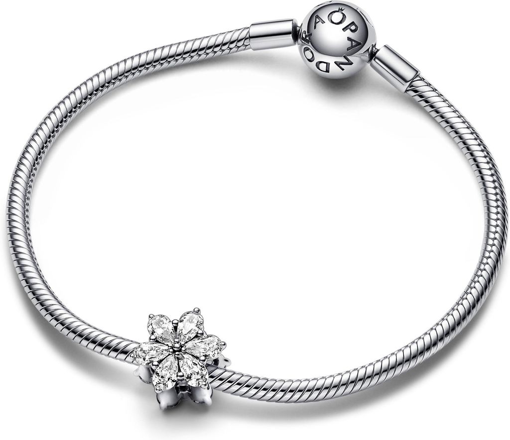 Pandora 792623C01 Charm Damen Funkelndes | Kaufland.de