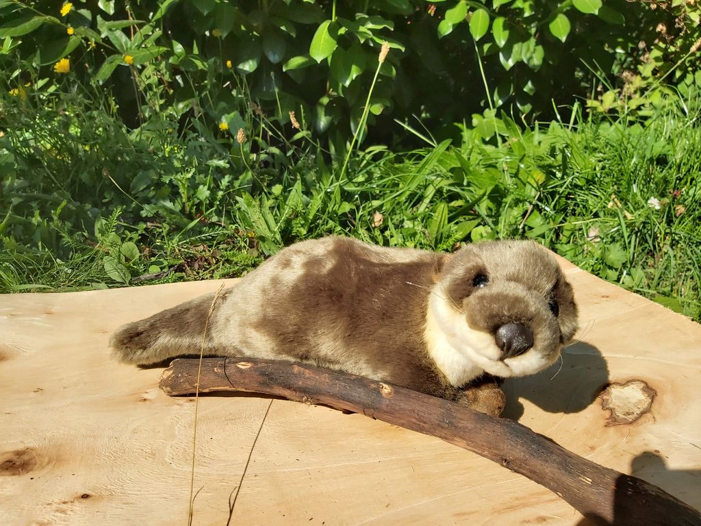 Uni Toys Plüschtier Otter 35x15x10 cm (LxHxB) hochwertig