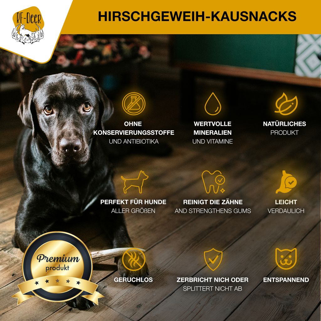 RF - DEER Jelenie parohy XL 121-160 g, 17-19 | Kaufland.sk