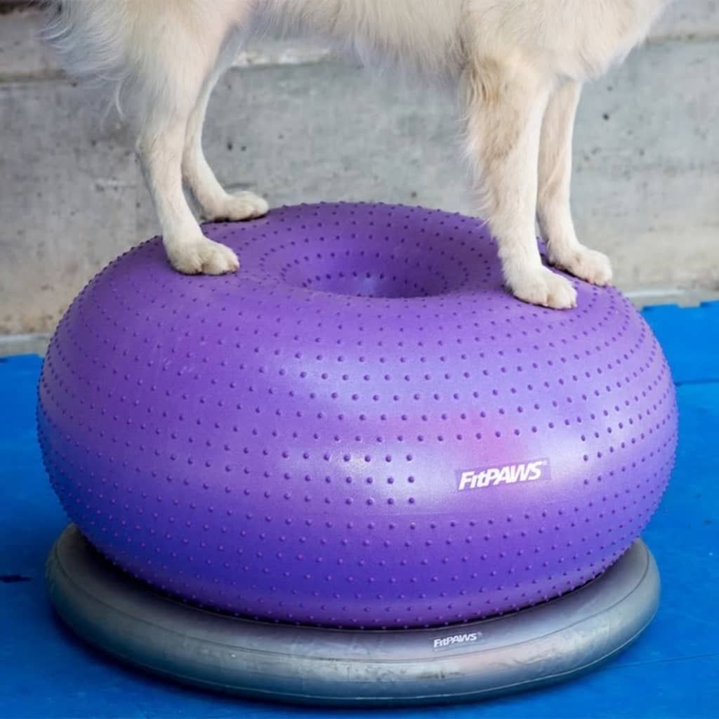 FitPAWS Fitness lopta pre psov TRAX Donut 55 | Kaufland.sk