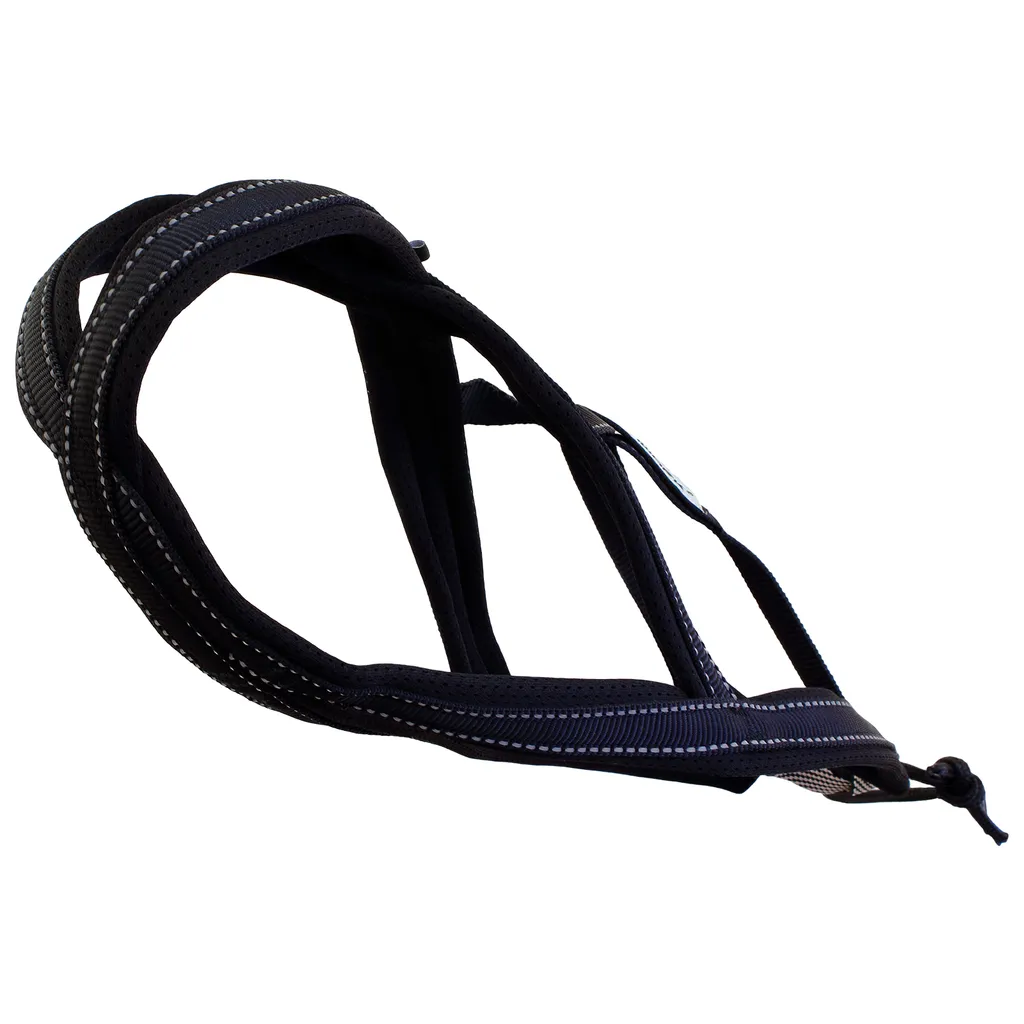 SLEDWORK X-BACK ACTIV Mini schwarz | SWXG2B, | Kaufland.de