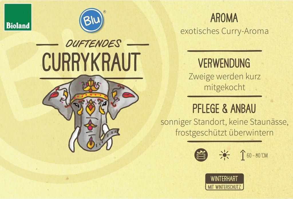 Currykraut inQualität - Helichrysum | Kaufland.de