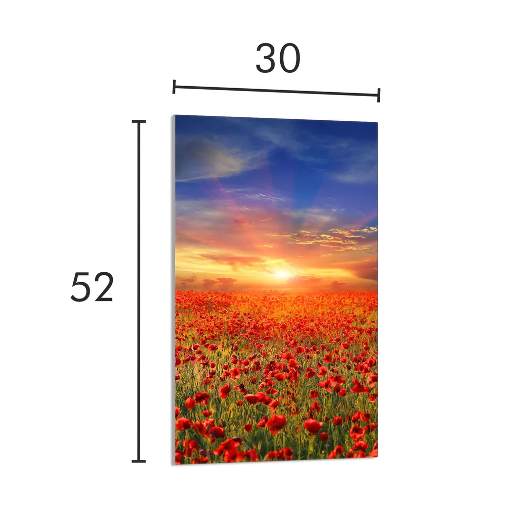 Offerta Piastra Coprifornelli 30x52 Vetro Temperato Papaveri