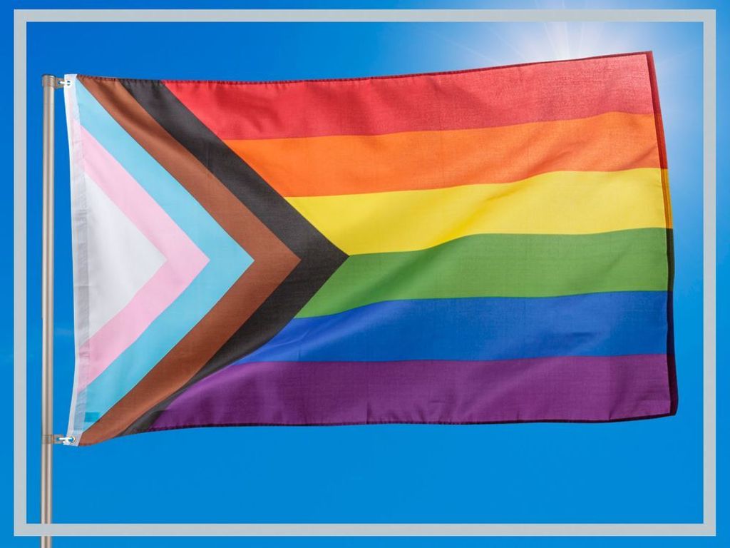 PHENO FLAGS Progress Flagge Pride Regenbogen | Kaufland.de