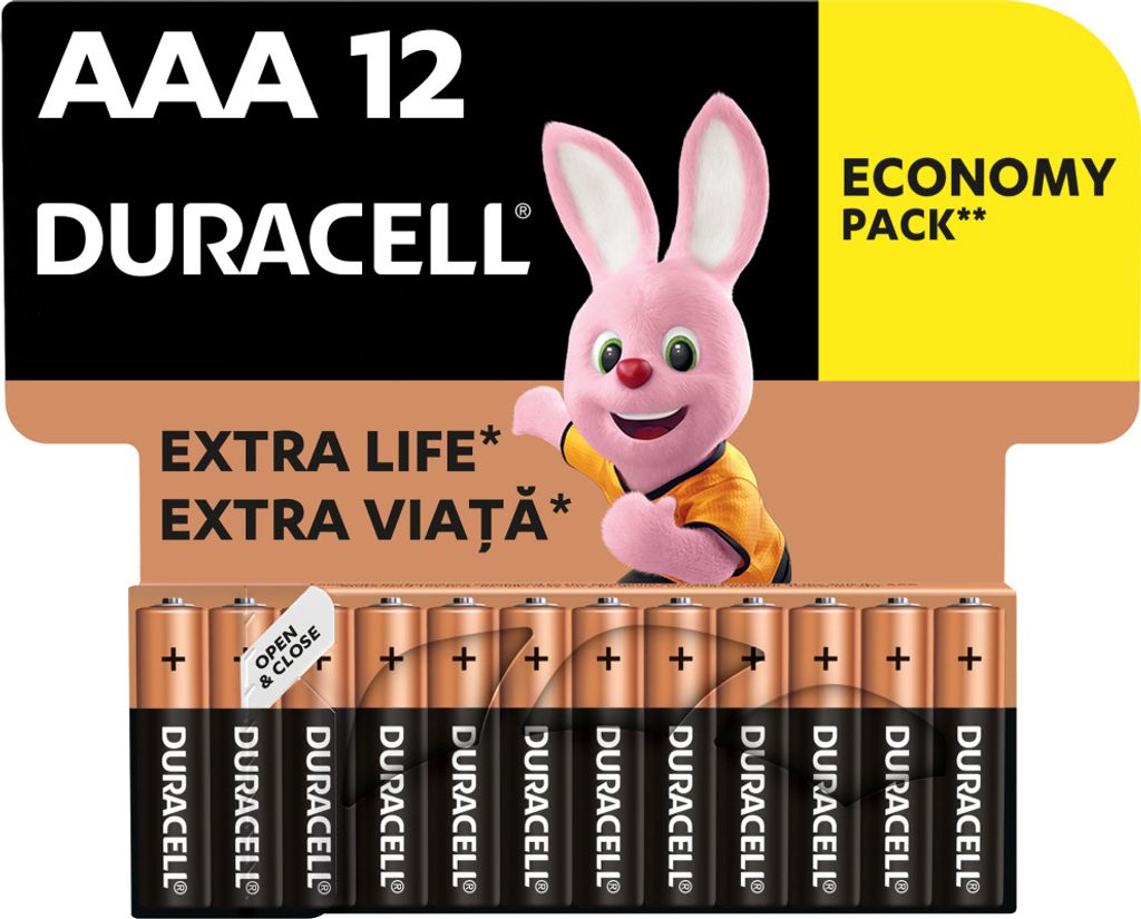 Duracell Basic 12 AAA batérie | Kaufland.sk